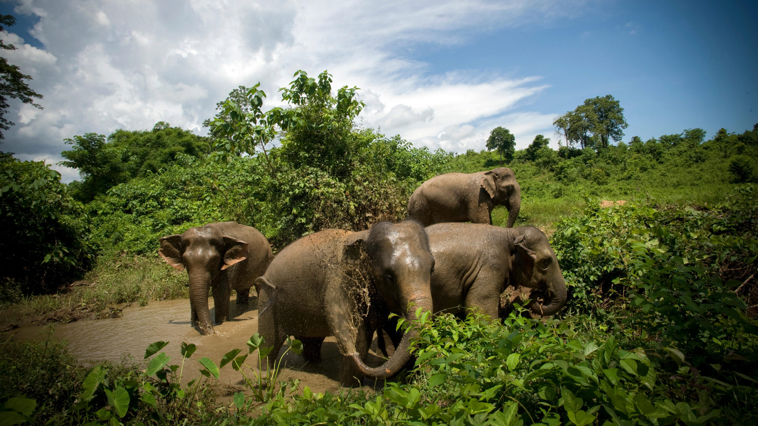 Explore Nature and Wildlife – Adventure Tours & Eco Travel
